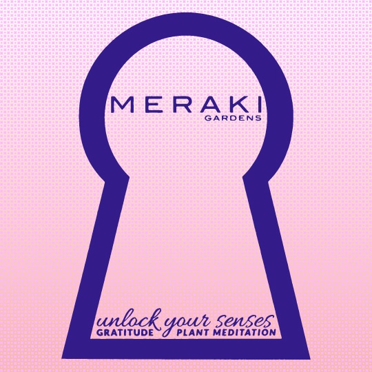 Meraki Gardens | Order Online | Substance Market