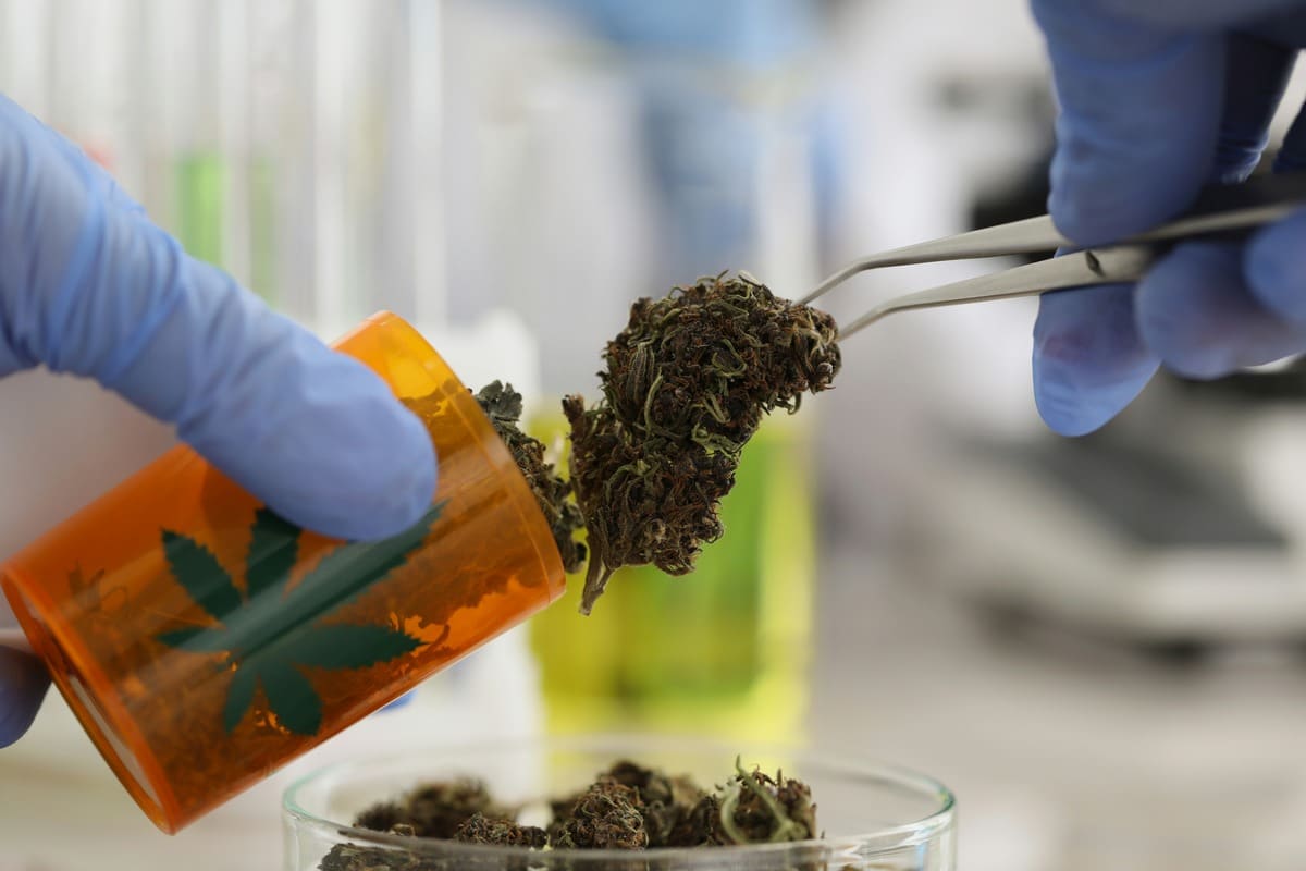 Decoding Oregon's Marijuana Testing Laws and Labels - Substance ...