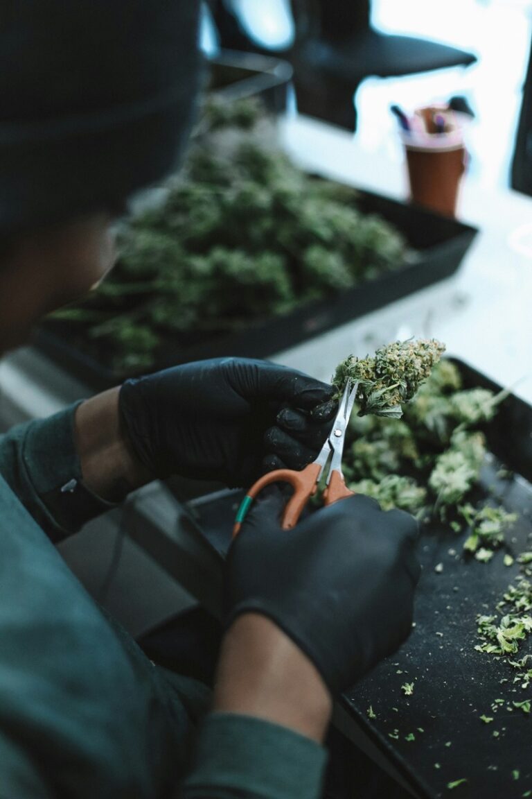 Oregon Marijuana Handler's Permit: Get Certified & Start Working ...